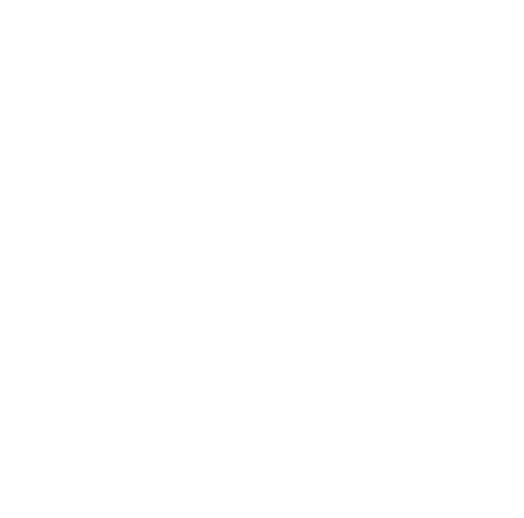 SEO & Google Ads Agency | Digital Marketing NZ | Divergent Digital