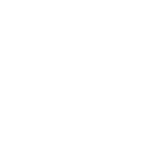 SEO & Google Ads Agency | Digital Marketing NZ | Divergent Digital